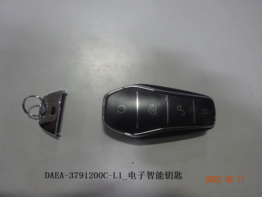 Genuine BYD New All-Electric ATTO 3 Black Electronic Smart Key - 13506 ...
