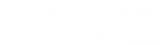 Genuine Mazda FL22 Long Life Coolant Pre-Mix 5L New! Premium FL22 Gold ...