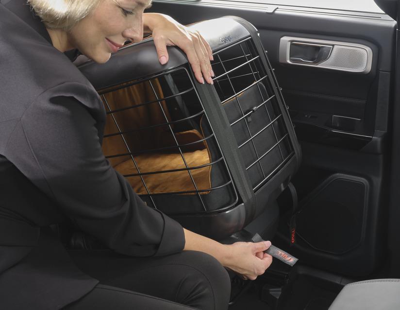 Genuine Ford New All-Electric Capri 2024> 4pets Caree Cage ISOFIX Conn ...
